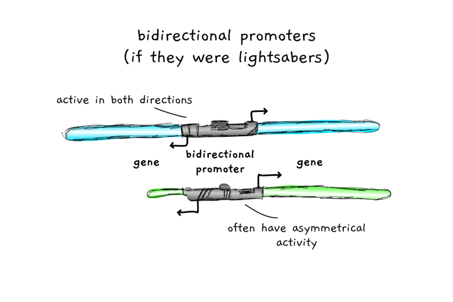 Promoting defence from all sides – Plants and Pipettes